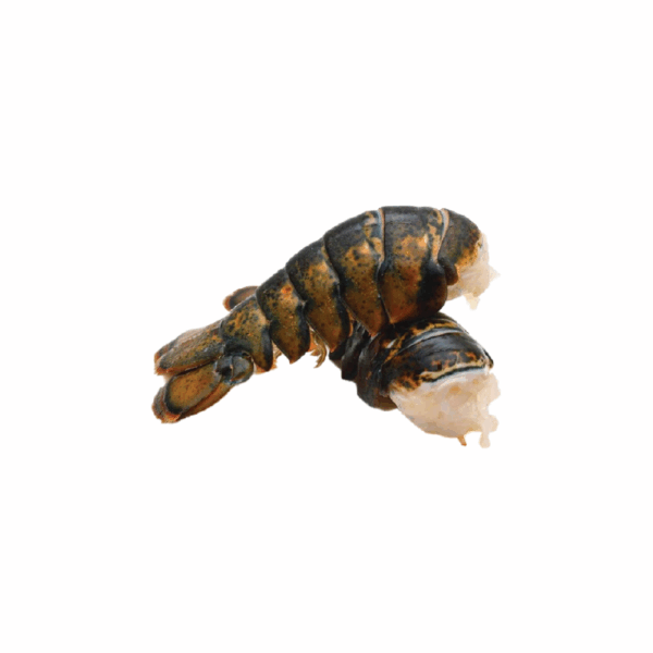 Lobster Boston Tails Shell On - Wisk