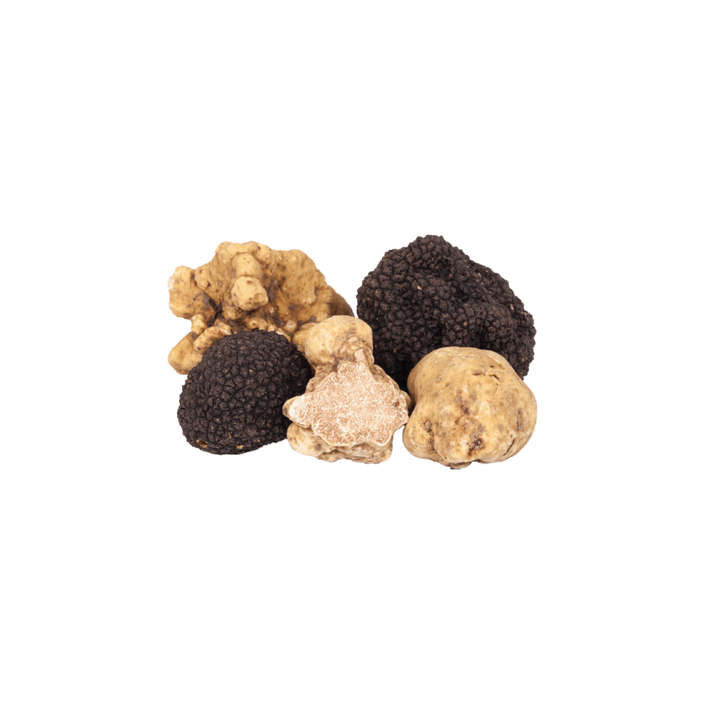 Truffles Fresh / Market Price - Wisk