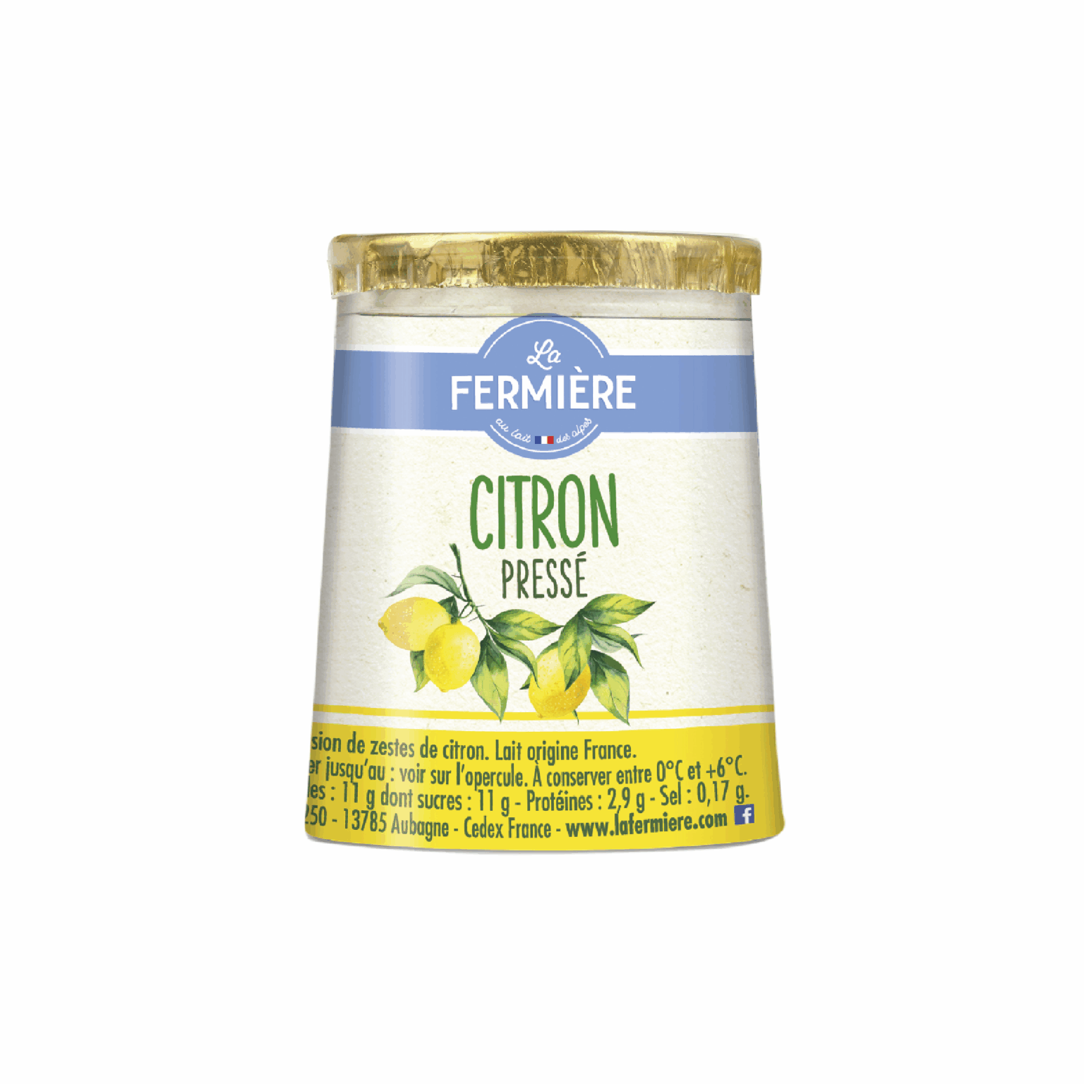 Yogurt Lemon in Clay pot - Wisk